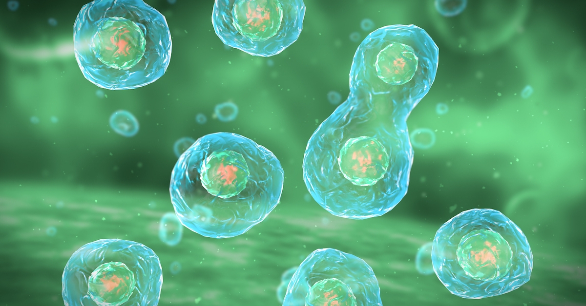 Aging Defeated | Zapping Zombie Cells Marks a Breakthrough in Treating ...