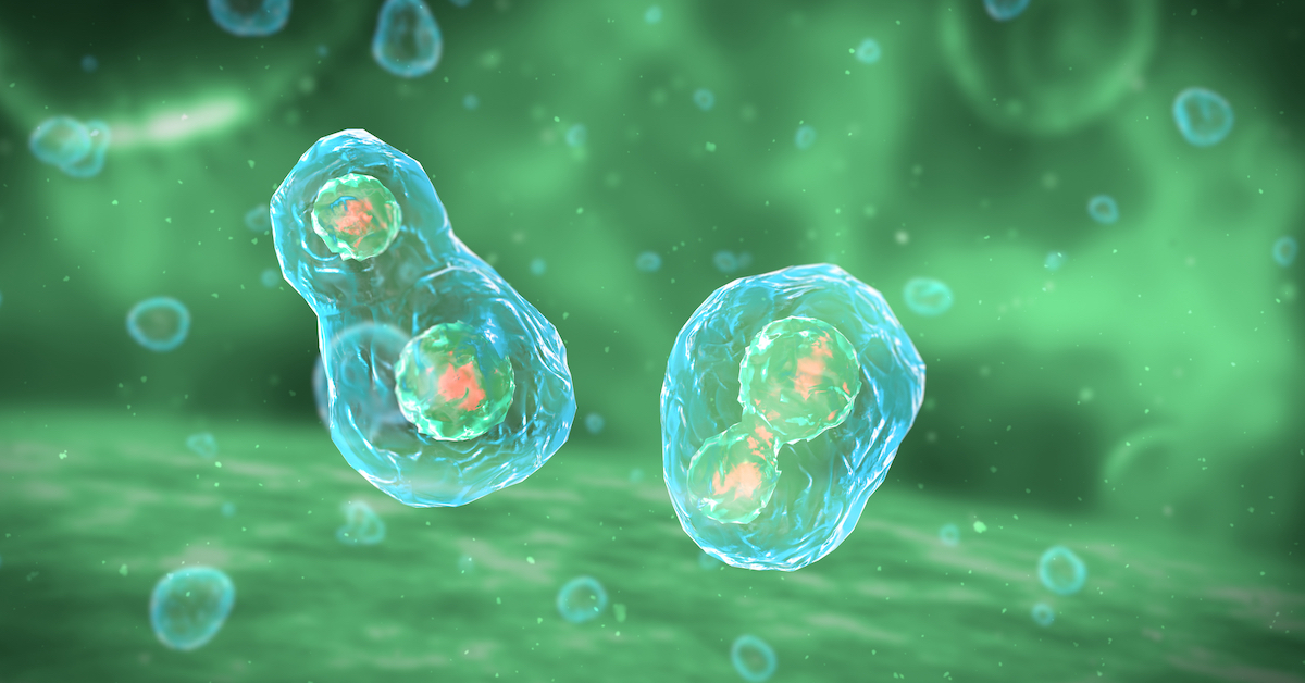 Aging Defeated | Are “Zombie Cells” Making You Old Before Your Time?