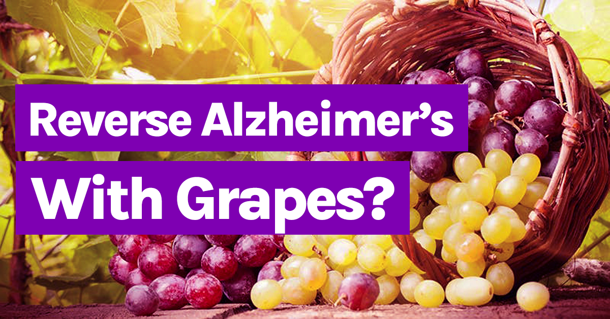 Brain Health Breakthroughs | Reverse Alzheimer’s… With Grapes?