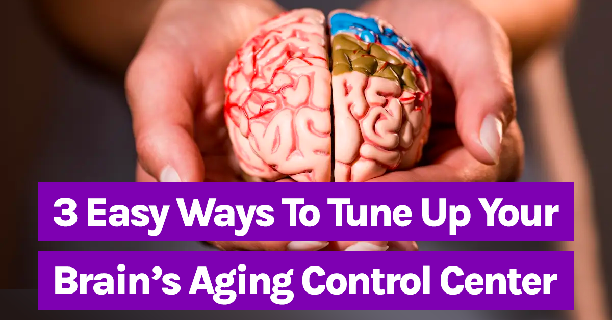 Brain Health Breakthroughs | Unlock the Secret to Aging Hidden in Your ...