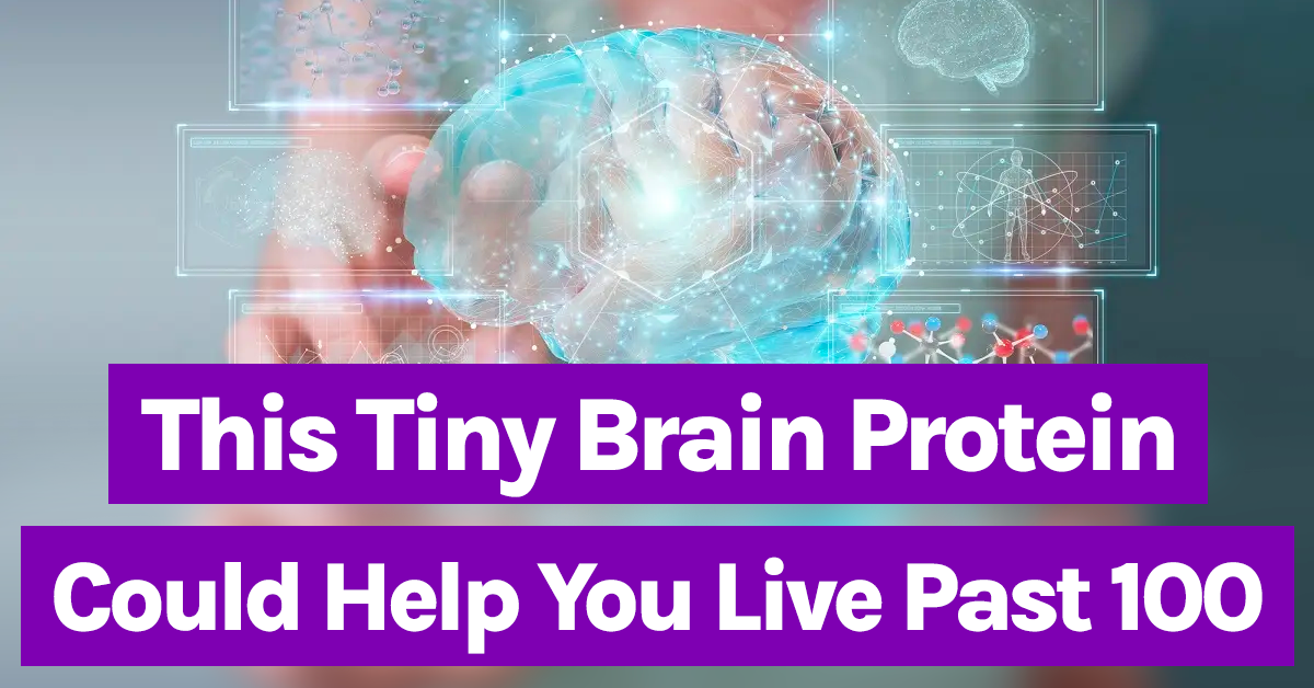 Brain Health Breakthroughs | The Brain Activity Secret to Longevity